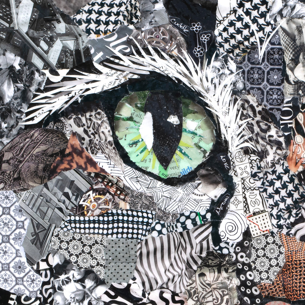 Deborah Shapiro Art