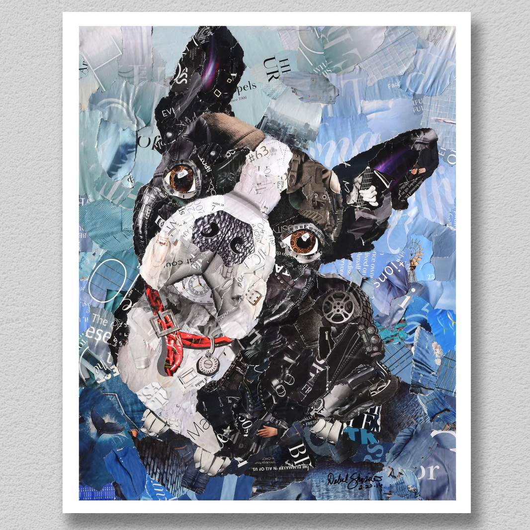 Animal Collage Art – Deborah Shapiro Art