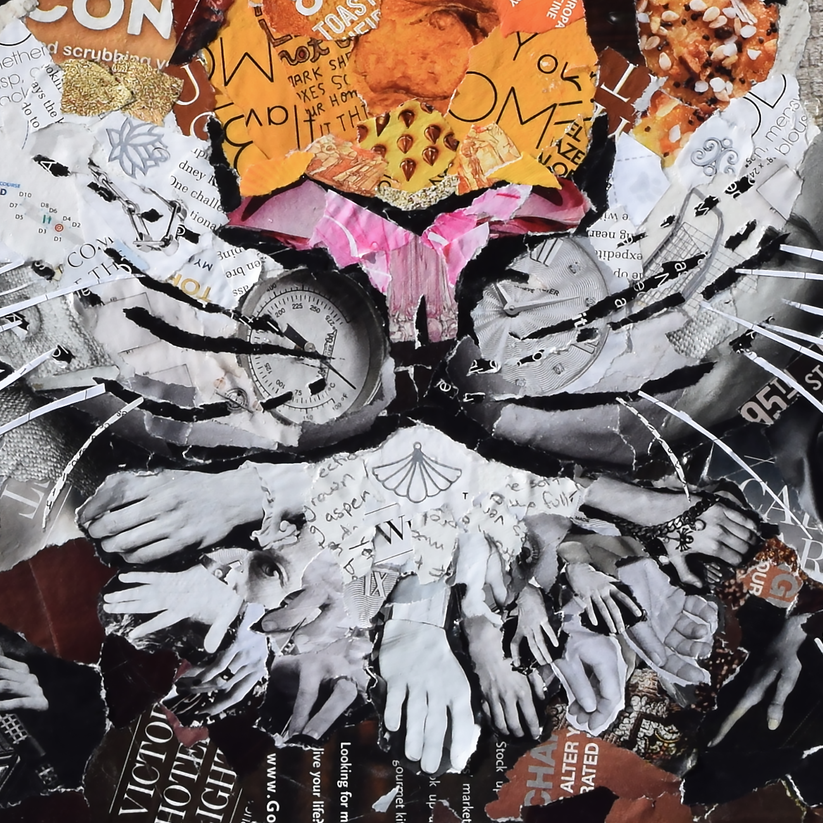 Tiger Art by collage artist Deborah Shapiro – Deborah Shapiro Art