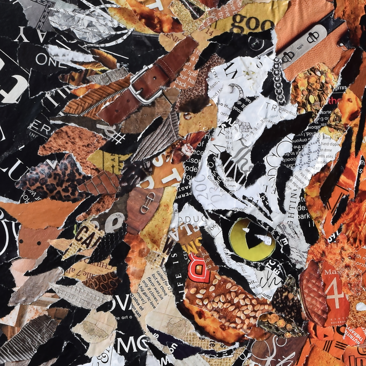 Tiger Art by collage artist Deborah Shapiro – Deborah Shapiro Art